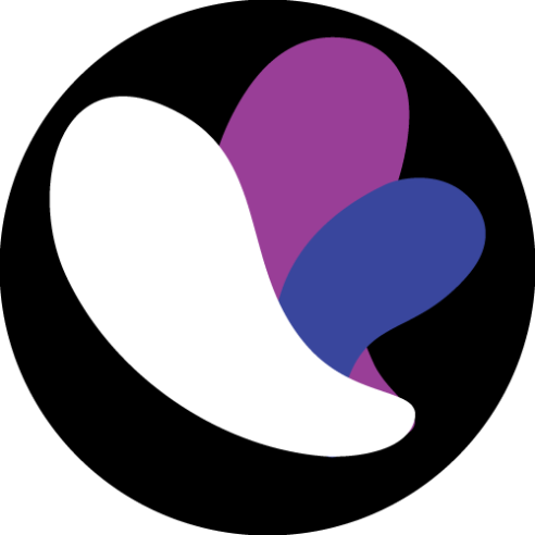 Anti-Detect Browser for Multi-Account Management - Incogniton