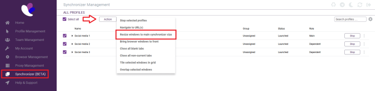 Guide - How to use the Synchronizer for repetitive actions